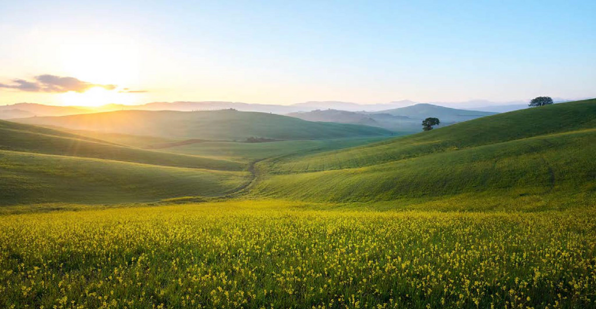 Flaxx Medical: NZ distributor for Urology, Continence, ED – Flaxx Medical